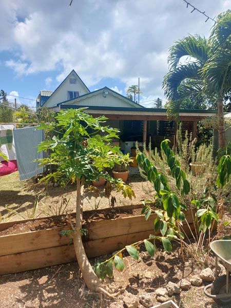 House Rentals – Property Tonga