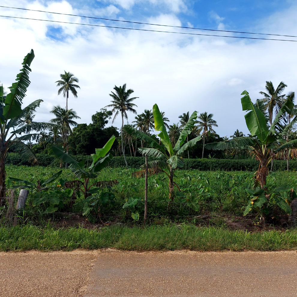 Land Parcels and Islands – Property Tonga