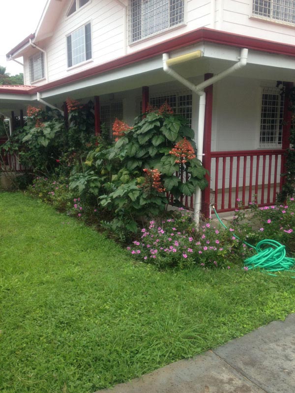 House Rentals – Property Tonga