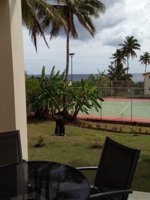 House Rentals – Property Tonga